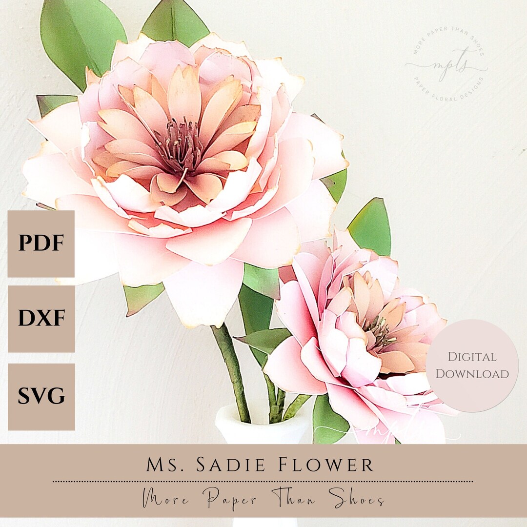 Paper Flower SVG - Paper Flower Templates - DIY Home Decor - 3D Flowers ...
