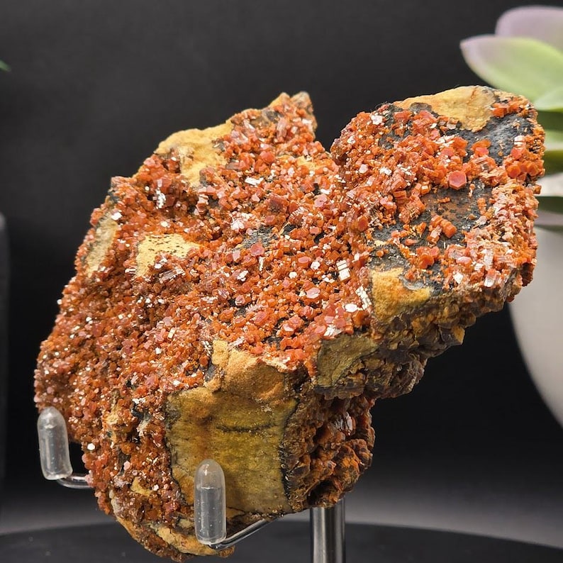 Large 4.3" Vanadinite Crystal Specimen in Matrix – Moroccan Crystal ...