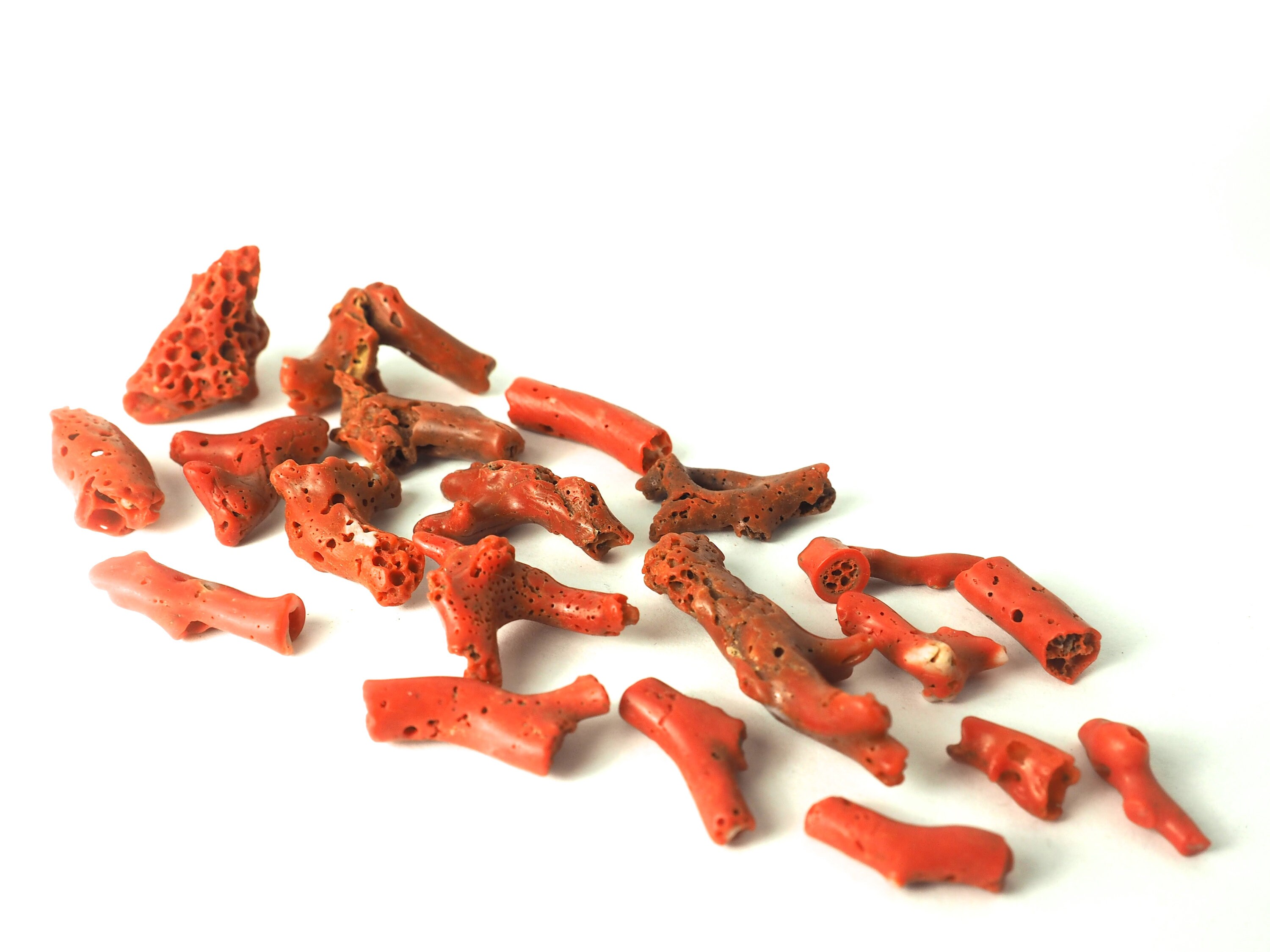 Natural Red Coral - Etsy