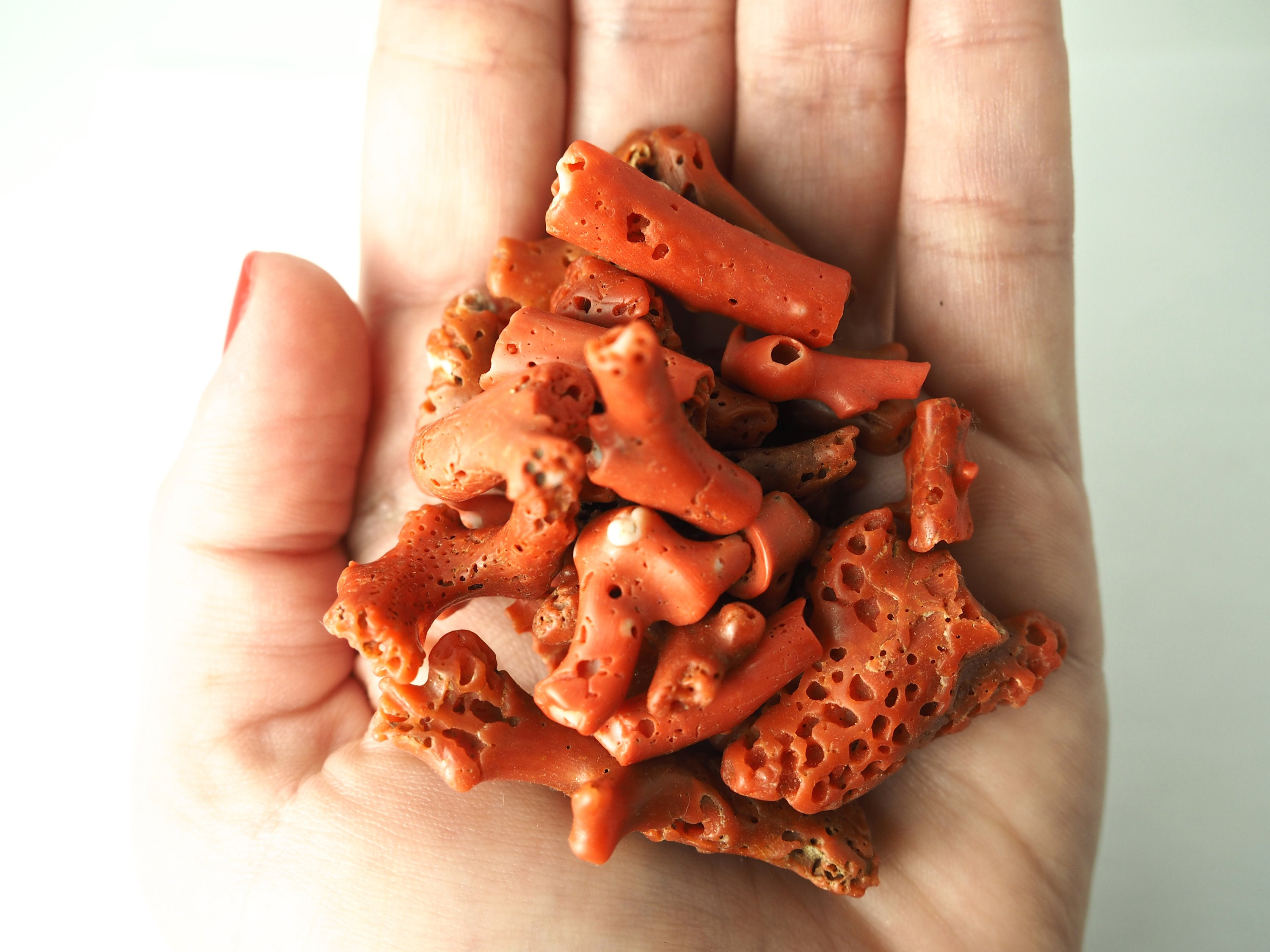 Natural Red Coral - Etsy