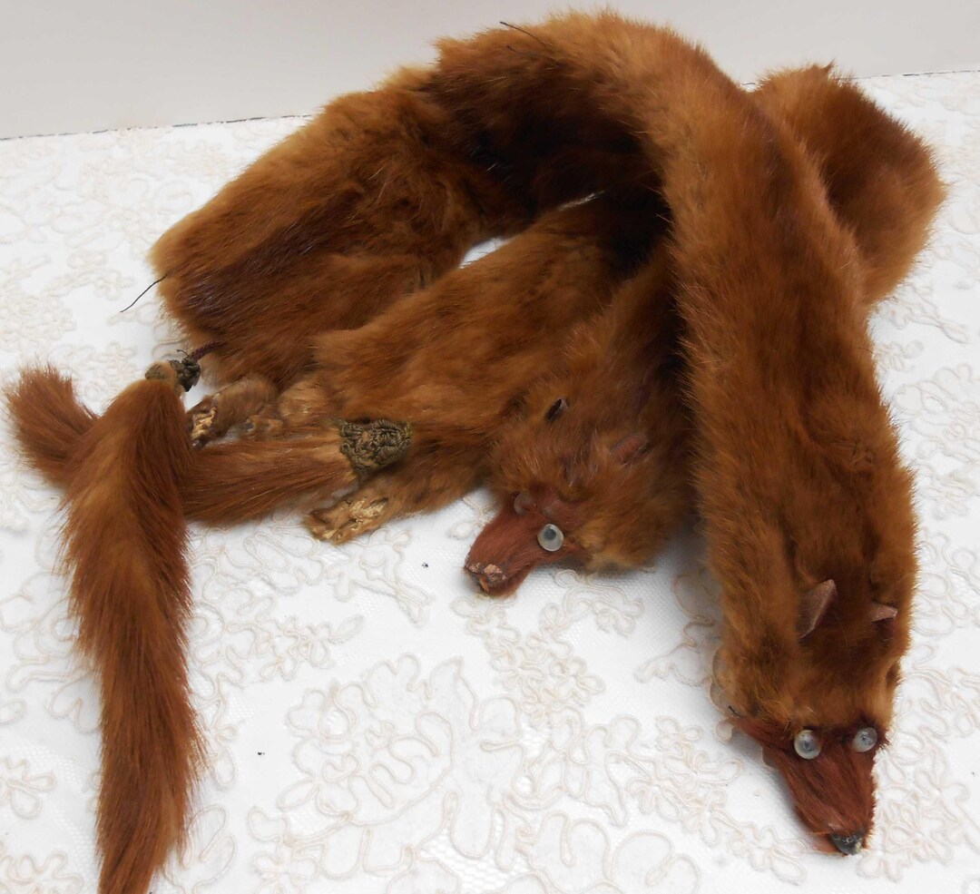 Vintage Stone Marten Sable Fur 2 Full Body Pelt Stole Wrap - Etsy