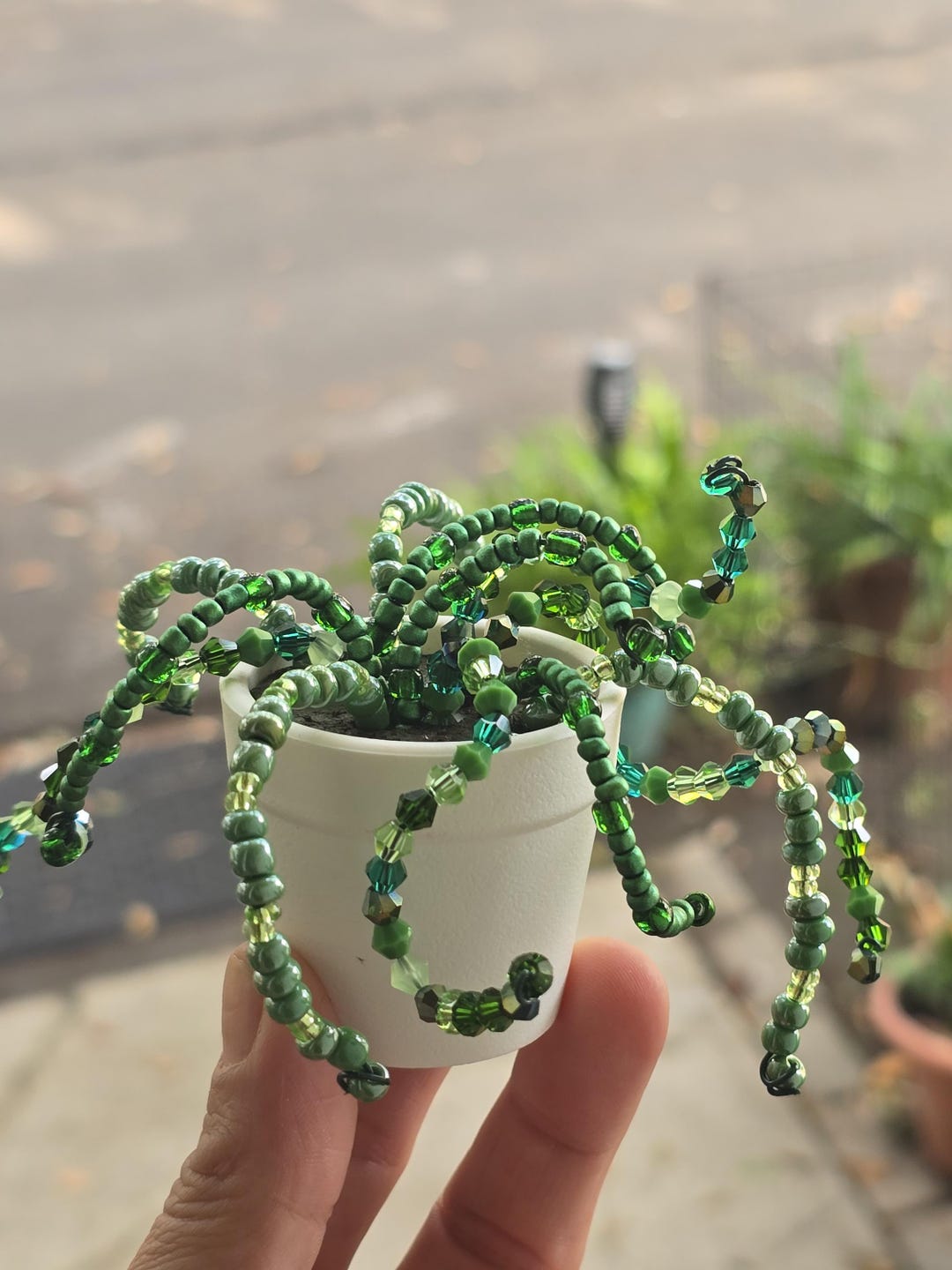 Beaded Succulent Magnet: Fridge Plant Decor - Etsy