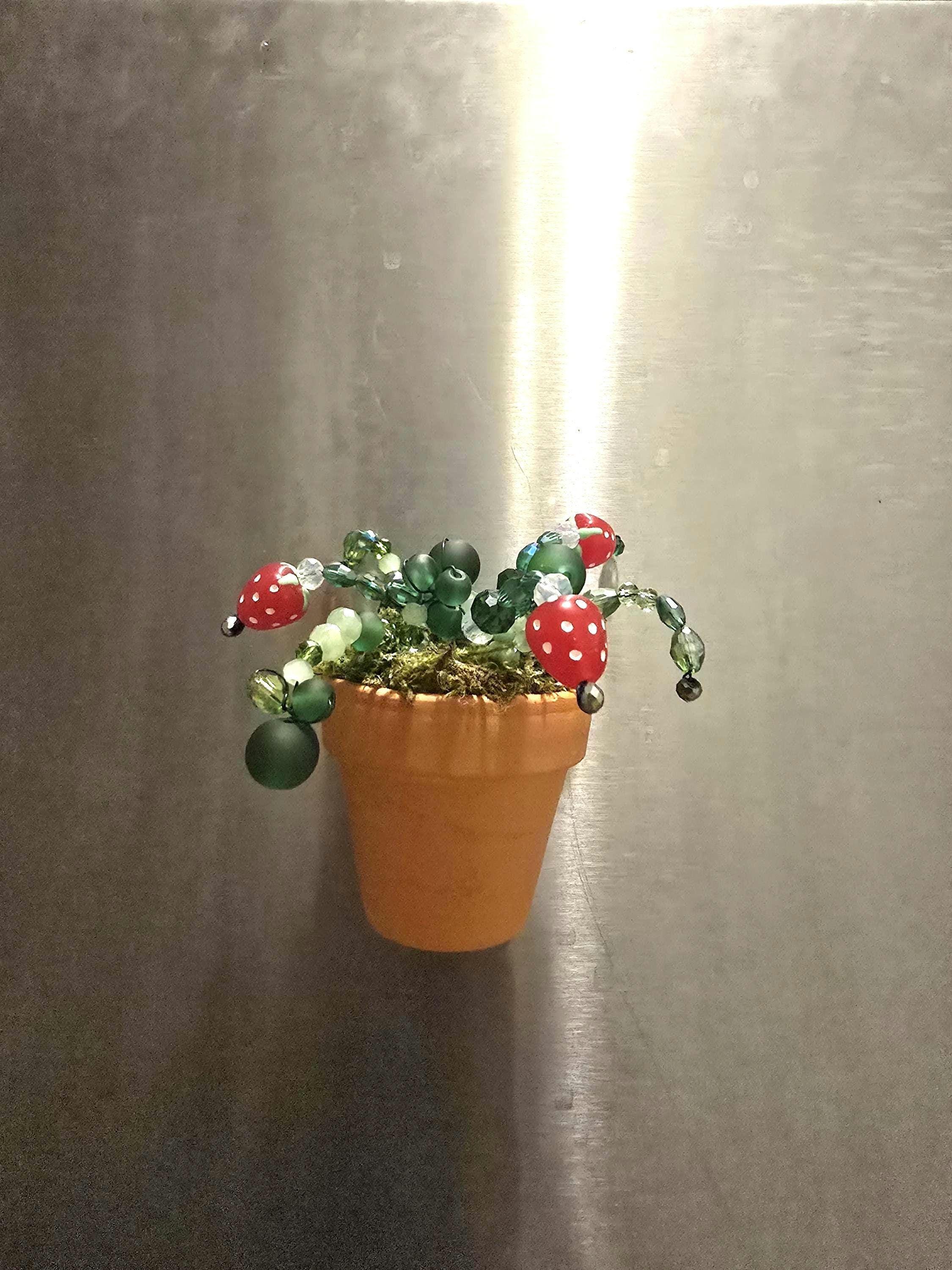 Beaded Succulent Magnet: Fridge Plant Decor - Etsy