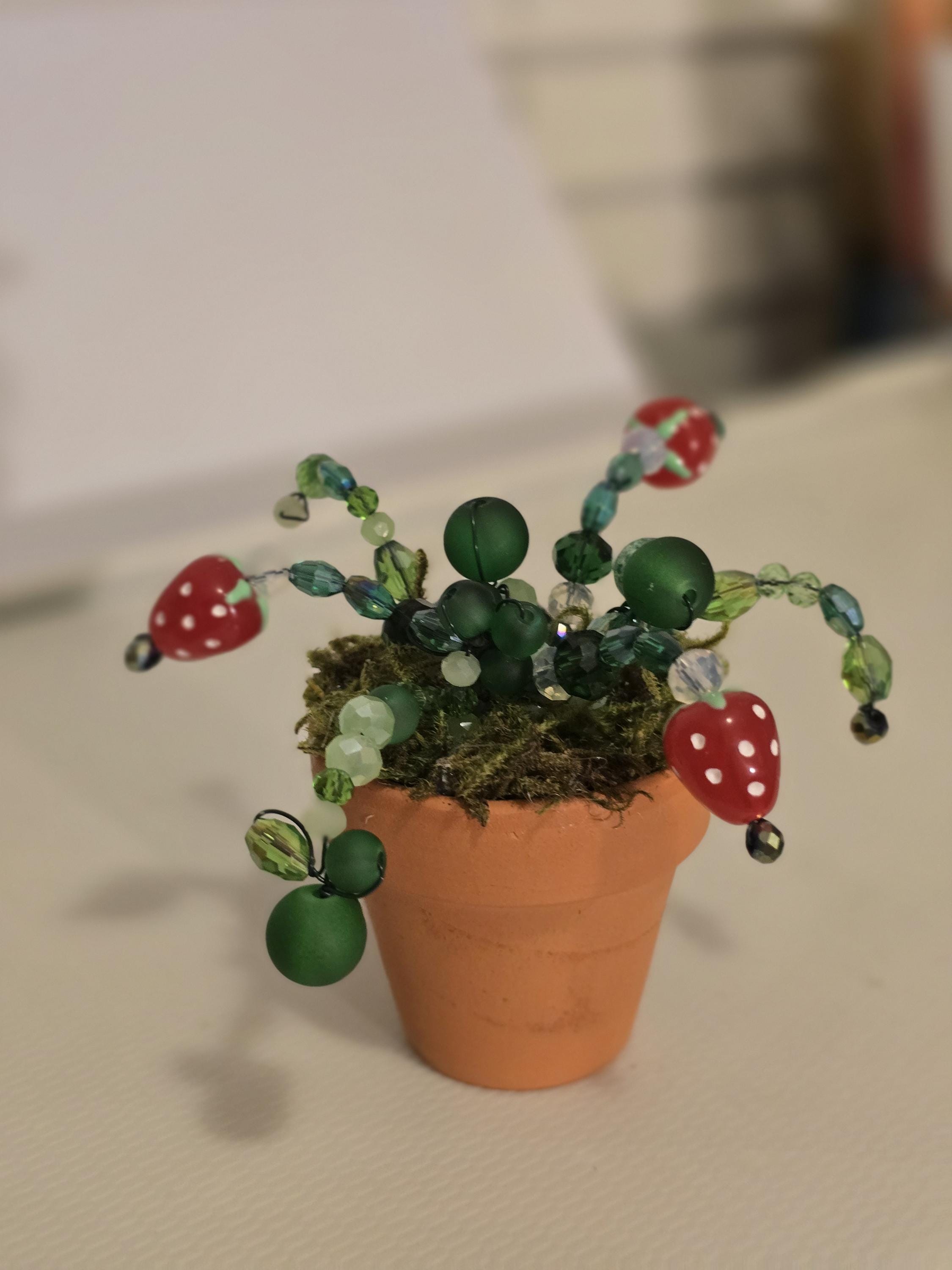 Beaded Succulent Magnet: Fridge Plant Decor - Etsy