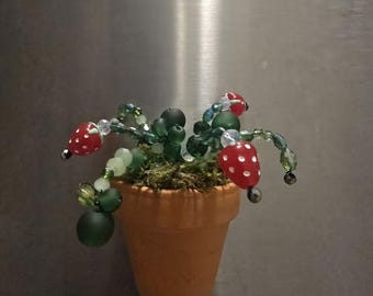 Beaded Succulent Magnet: Fridge Plant Decor - Etsy
