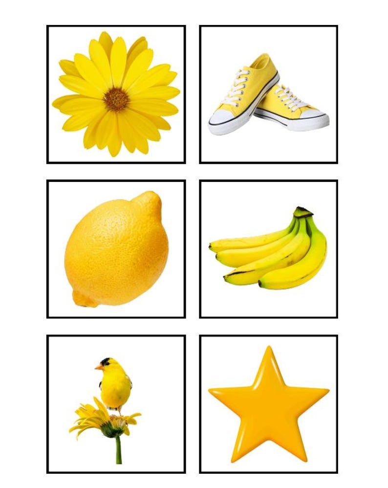 Montessori Color Sorting Cards | Preschool Learning Printable | Toddler ...