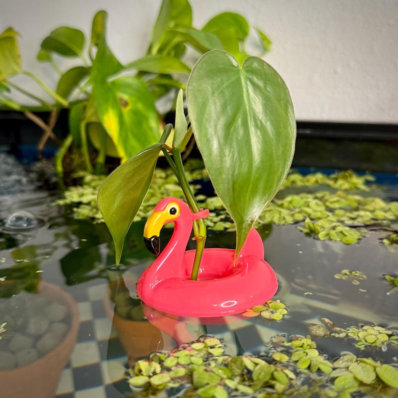 Flamingo Floatie Decor - Etsy