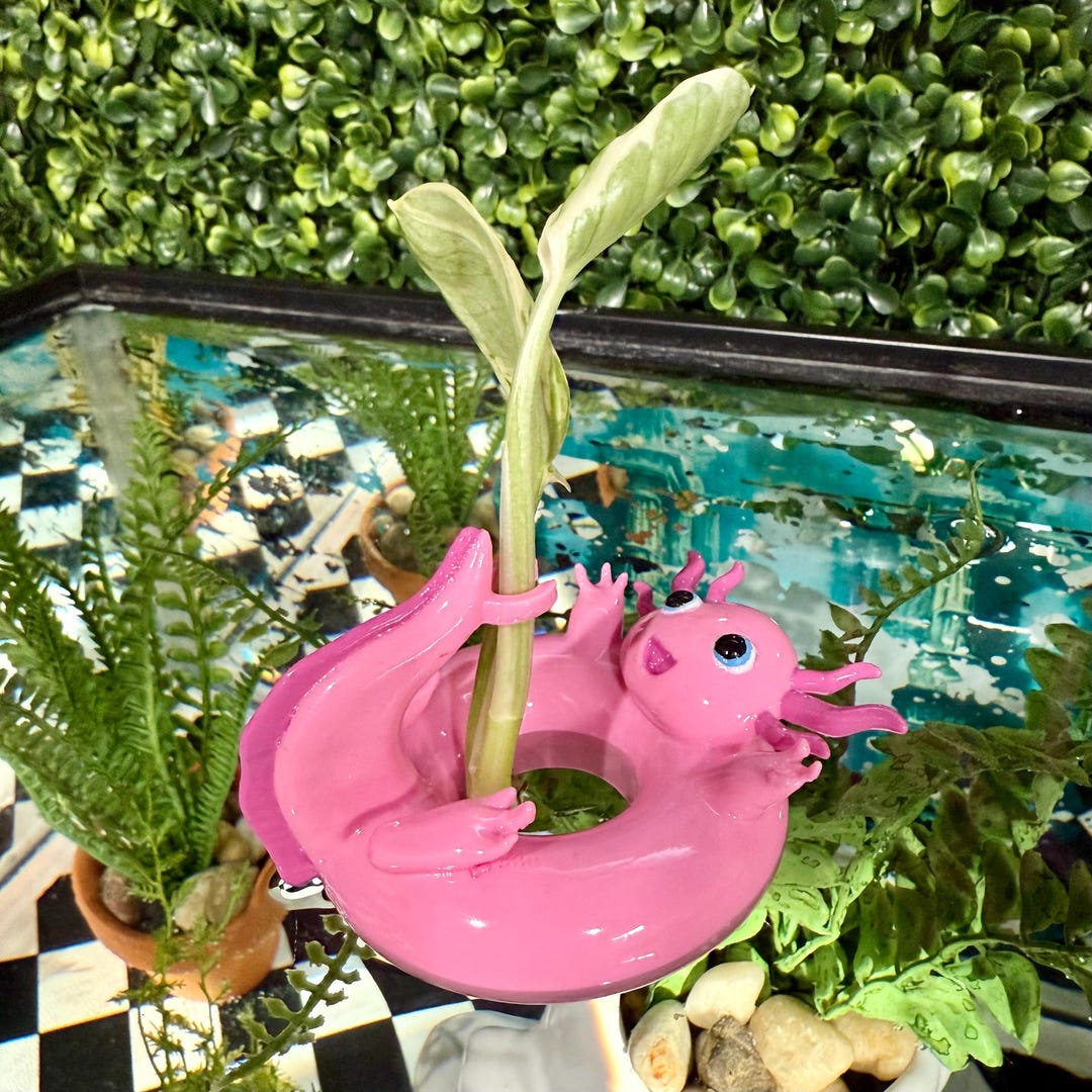 Axolotl Propagation Floatie - Etsy
