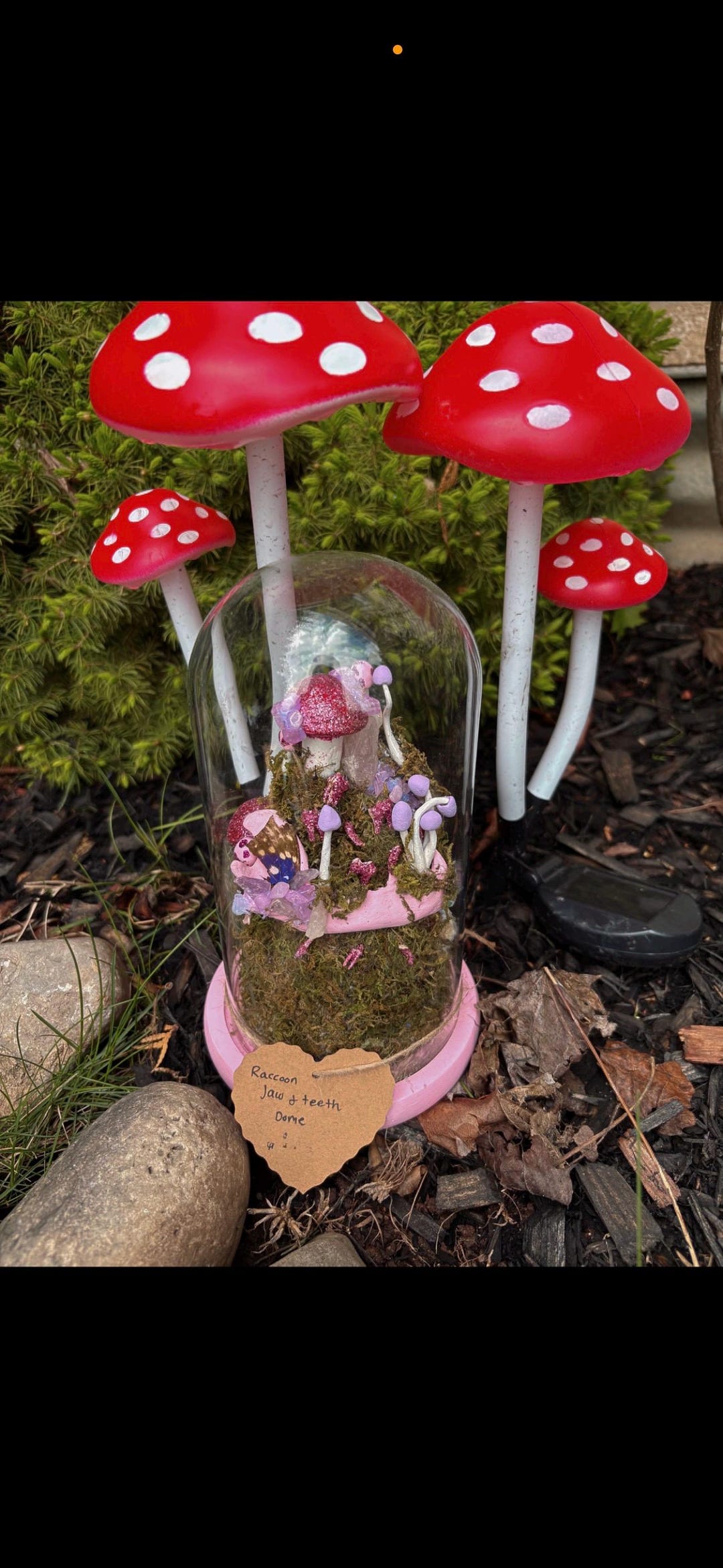 Tooth Fairy Dome - Etsy