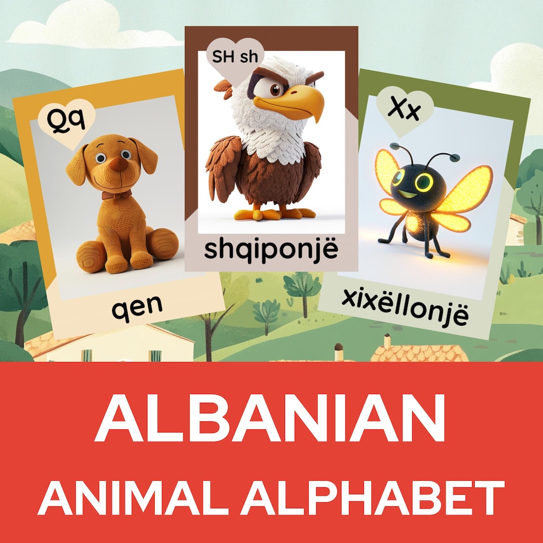 Albanian Animal Alphabet Flashcards - Etsy