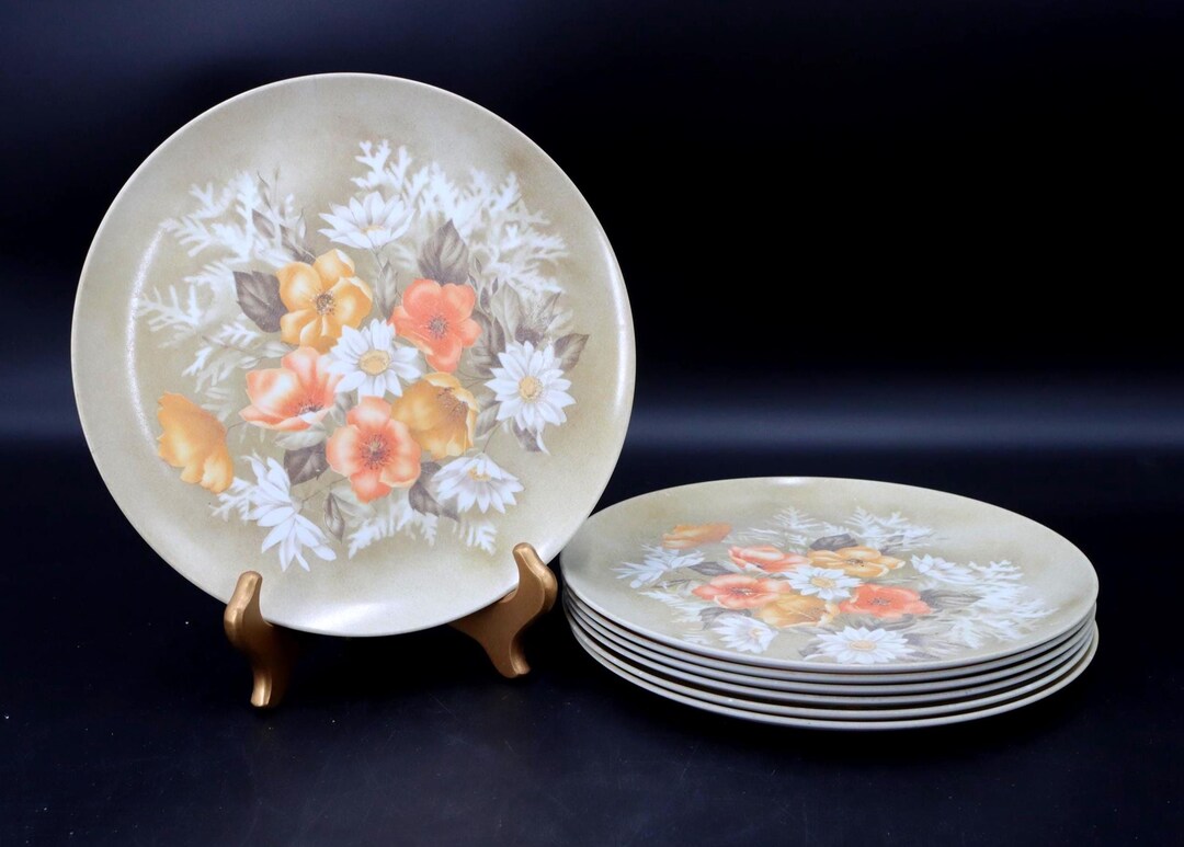 Vintage Oneida Melamine Dinner Plates - Daisies & Wild Roses - Set of 7 ...