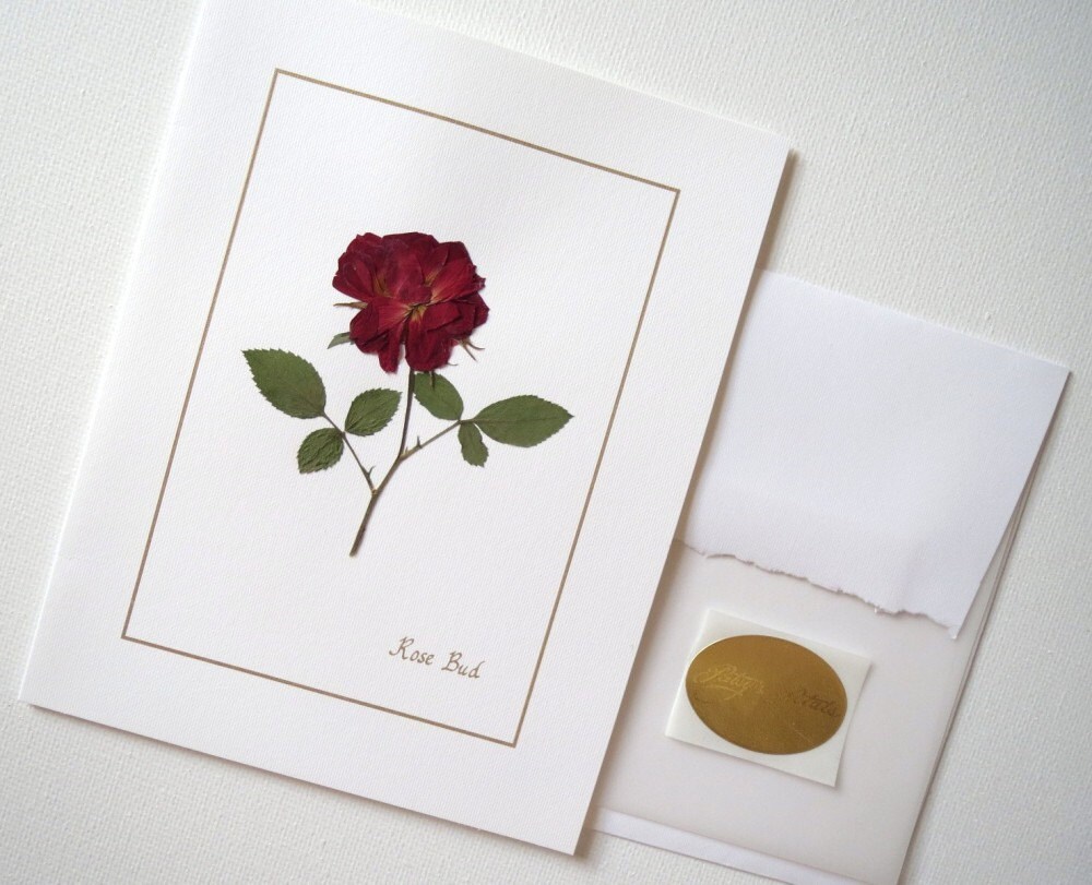Rose Card, Pressed Flowers Red Rose Card for June Birthday, Anniversary ...