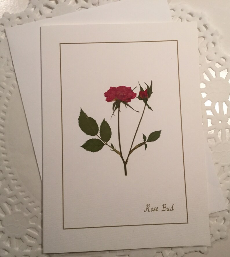 Pressed Flower Card Set Real Rose Cards Gift Set for Her | Etsy
