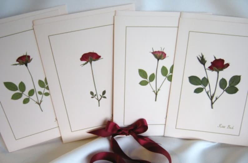 Dried Pressed Flower Cards, Rose Cards Set, Romantic Gift for Her ...