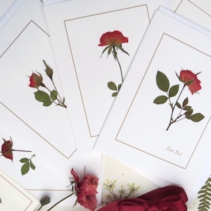 Pressed Rose Card Set - Red Roses White Card Set of 8 Blank Cards With ...