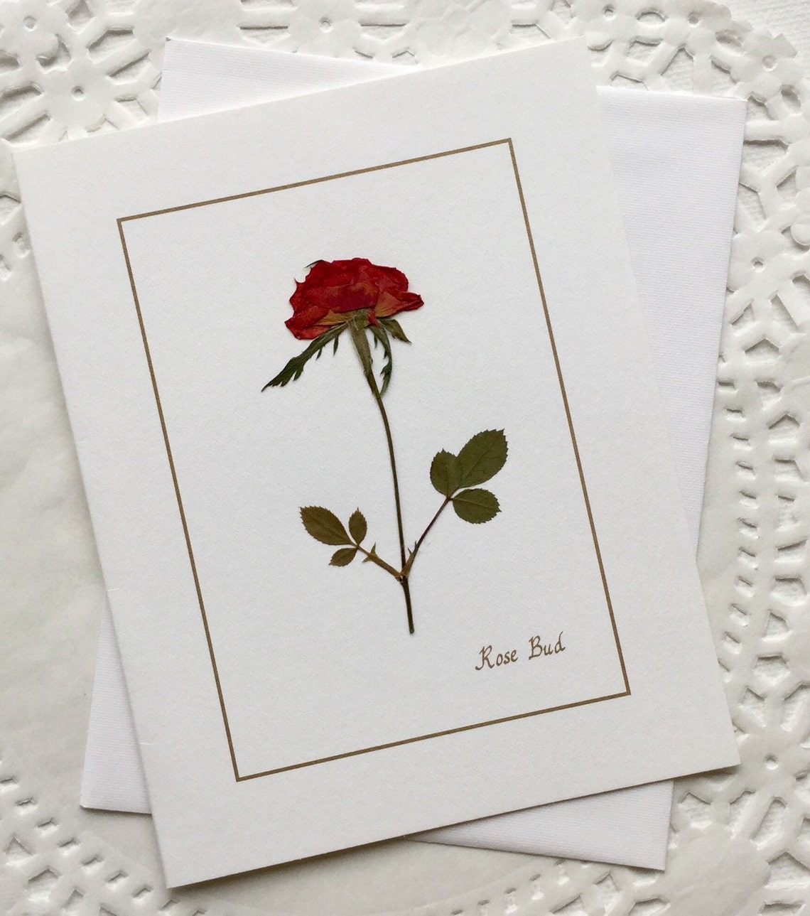 Handmade Pressed Red Rose Card – Blank Note Card - Etsy