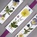Pressed Flower Bookmarks Pansy Gifts Book Accessories Pansy - Etsy