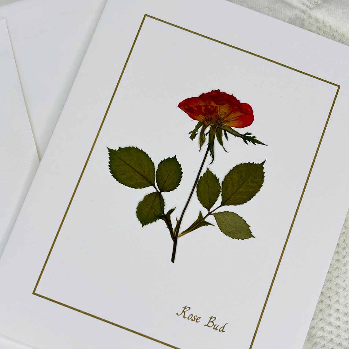 Rose Card, Pressed Flowers Red Rose Card for June Birthday, Anniversary ...