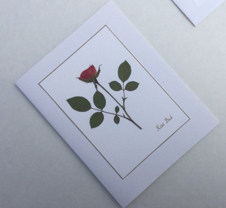 Pressed Flower - Rose Card, Handmade OOAK Red Rose Card, Blank All ...