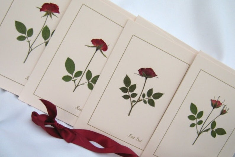 Pressed Flower Card Set Real Rose Cards Gift Set for Her | Etsy