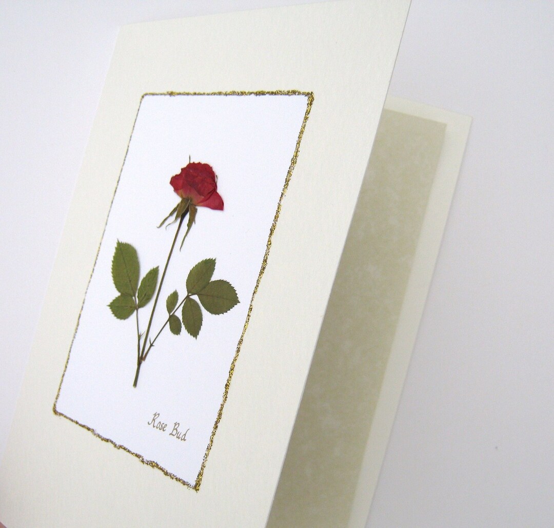 Pressed Flower Card - Rose Card, Romantic Card, Wedding Card, Birthday ...