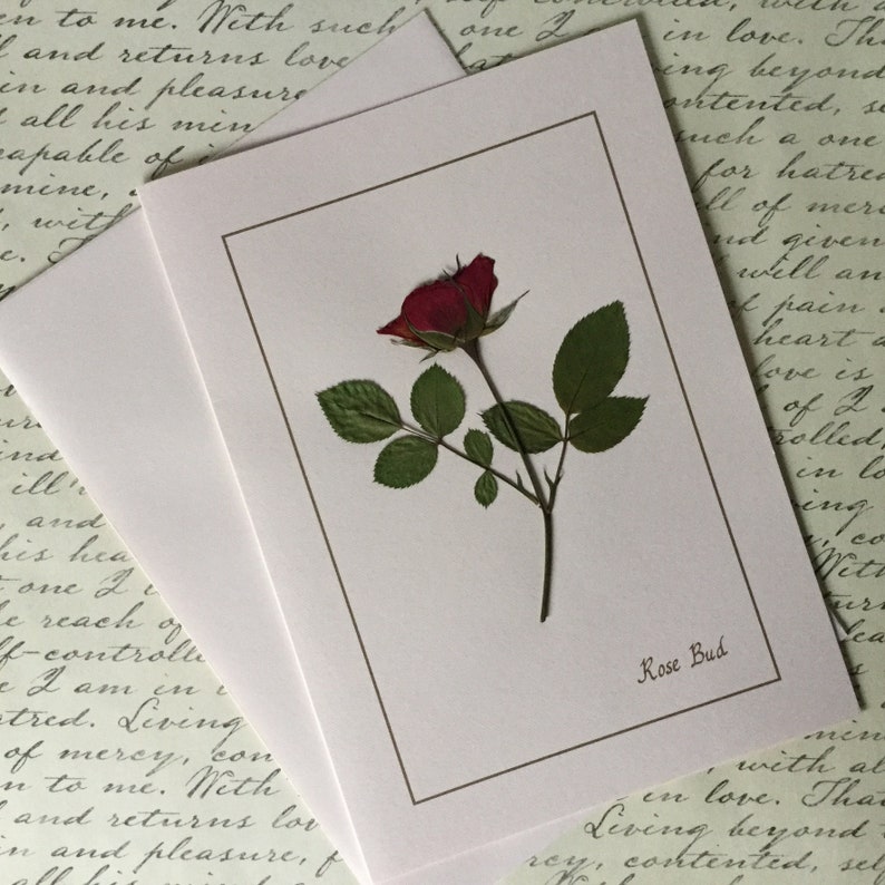 Pressed Flower Card Set Real Rose Cards Gift Set for Her | Etsy