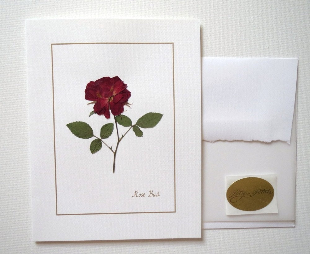 Rose Card Pressed Flowers Red Rose Card for June Birthday - Etsy