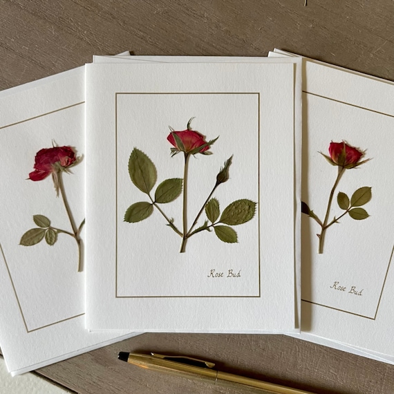Roses Pressed Flower Cards Set of 3 Beautiful Cards | Etsy