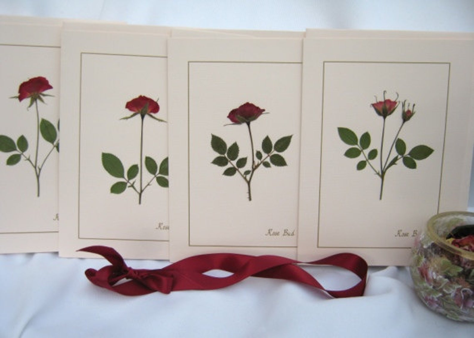 Pressed Flower Card Set Real Rose Cards Gift Set for Her | Etsy