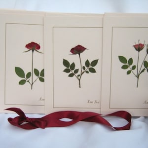 Pressed Flower Card Set, Real Rose Cards, Gift Set for Her Birthday ...