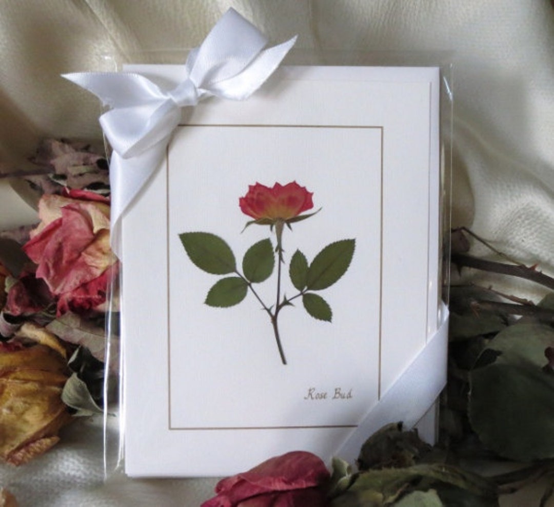 Rose Card Set, Bridesmaids Gift, Stationery Gift Set, 4 Unique Rose ...