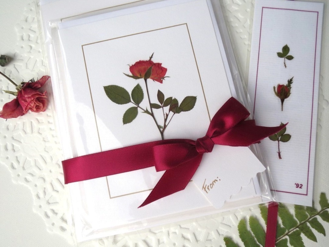 Pressed Rose Card Set - Red Roses White Card Set of 8 Blank Cards With ...