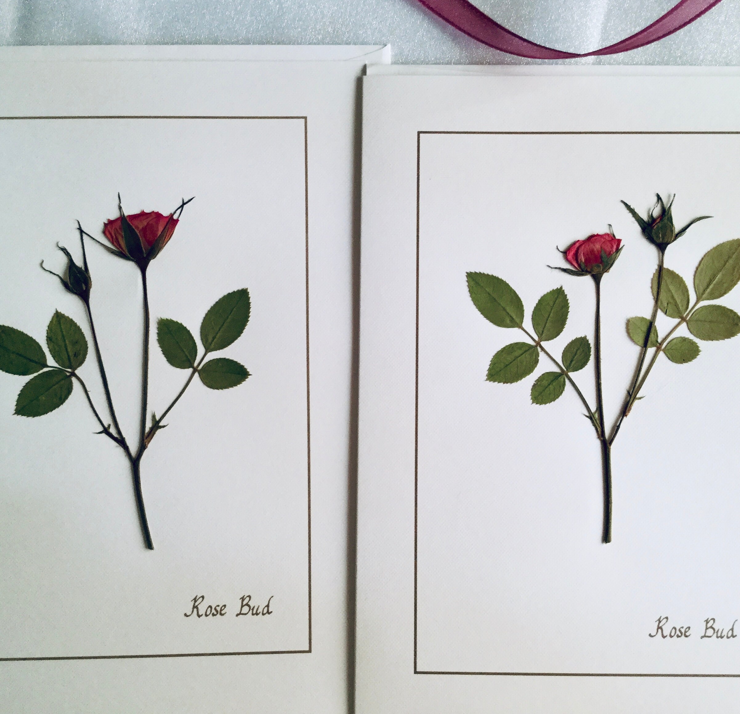 Pressed Flower Rose Card Set, Mothers Day Gift for Her, Floral Cards ...