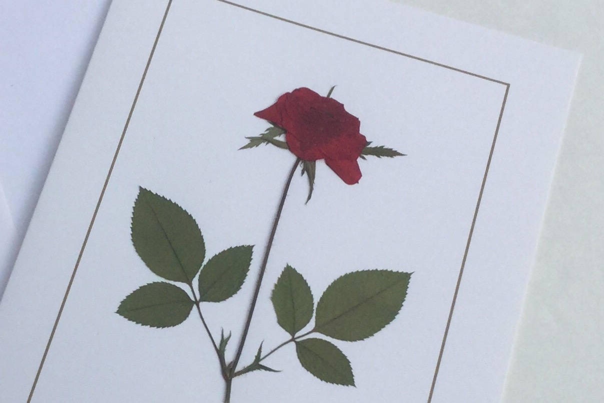 Pressed Flower Card Rose Card For Valentines Real Pressed | Etsy