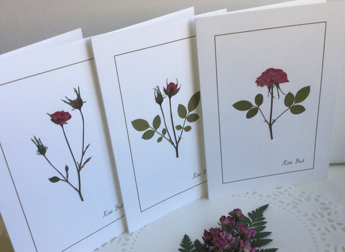 Pressed Flower Rose Card Set Handcrafted Gift of 3 Unique - Etsy