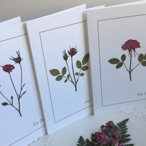 Pressed Flower - Rose Card Set Handcrafted Gift of 3 Unique Cards ...
