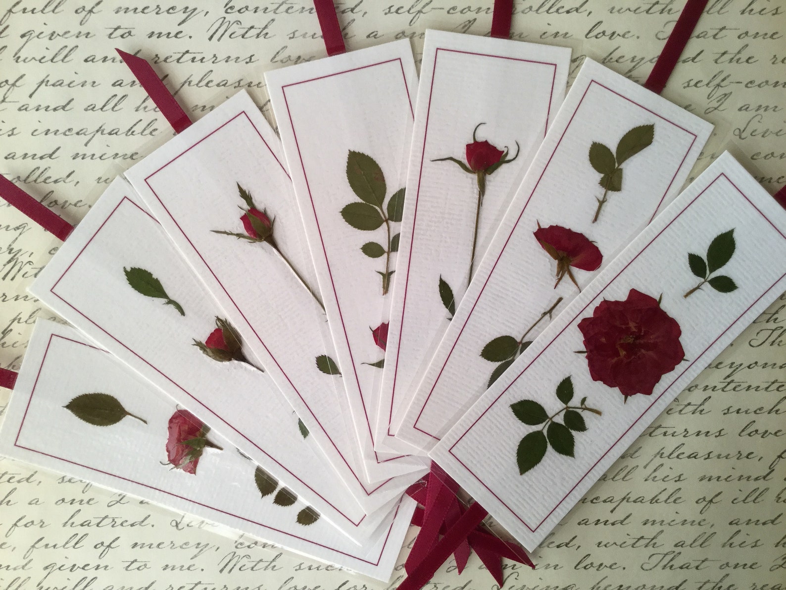 Pressed Red Rose Bookmarks, Laminated Floral Book Accessory, Set of 7 ...
