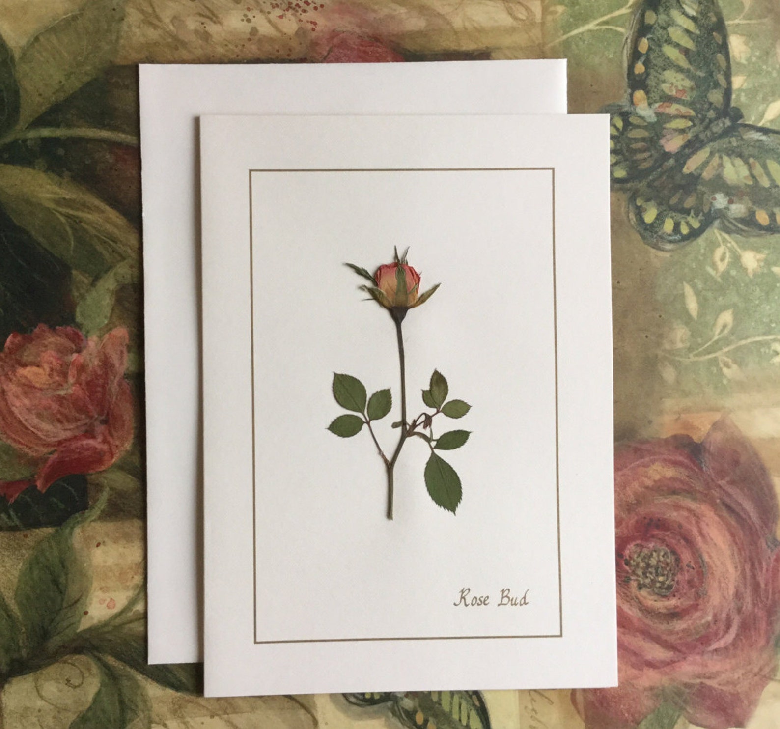 Pressed Flower Greeting Card - Rose Card - Apricot Rose, Pink Flower ...