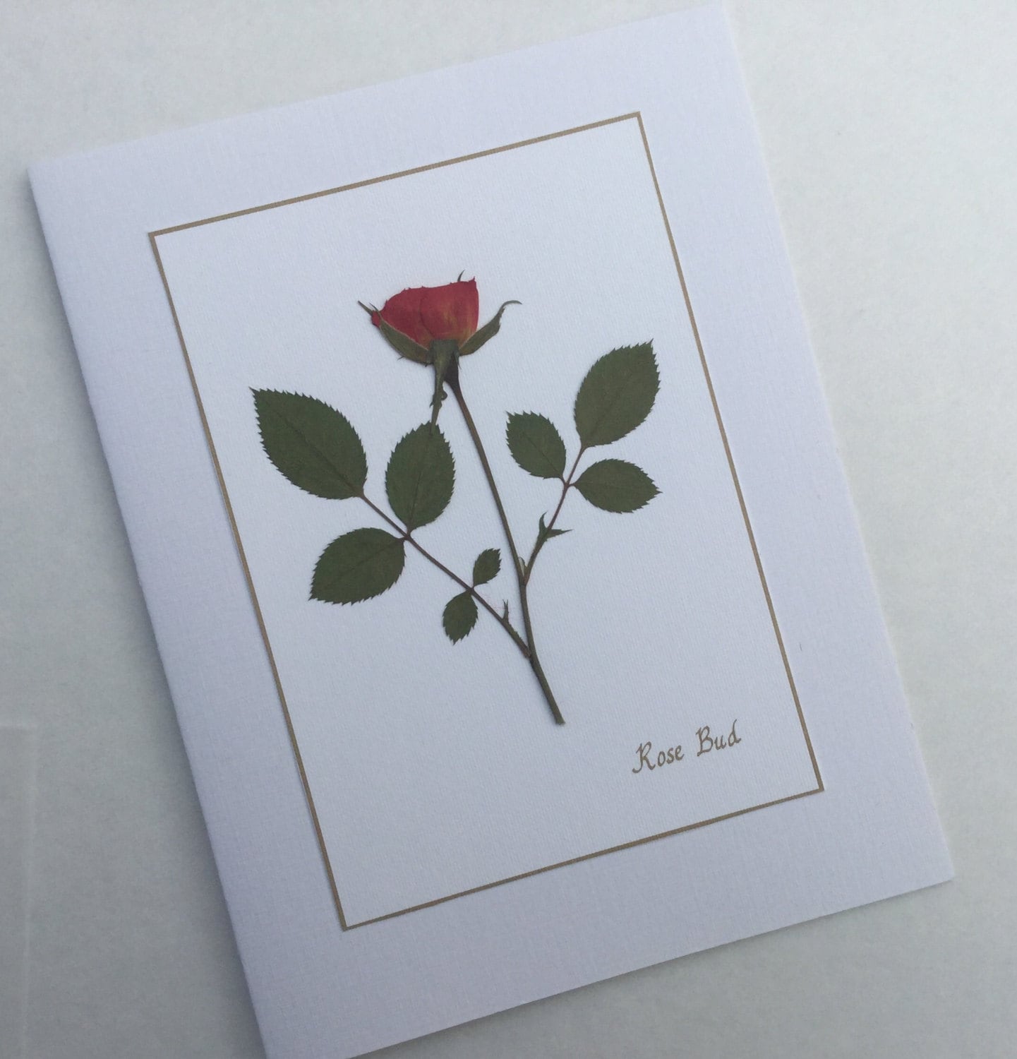 Pressed Flower - Rose Card, Handmade OOAK Red Rose Card, Blank All ...