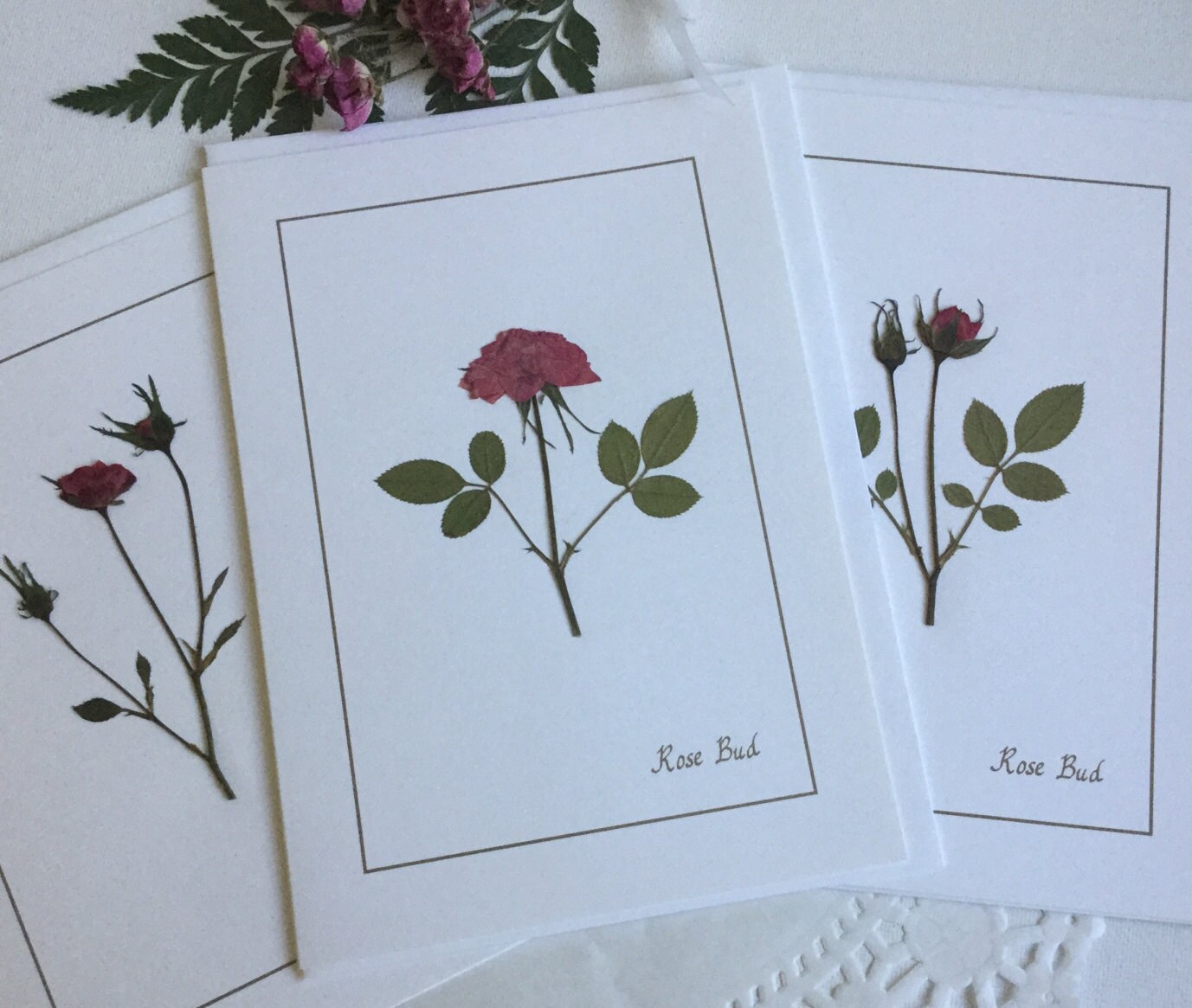 Pressed Flower Rose Card Set Handcrafted Gift of 3 Unique - Etsy