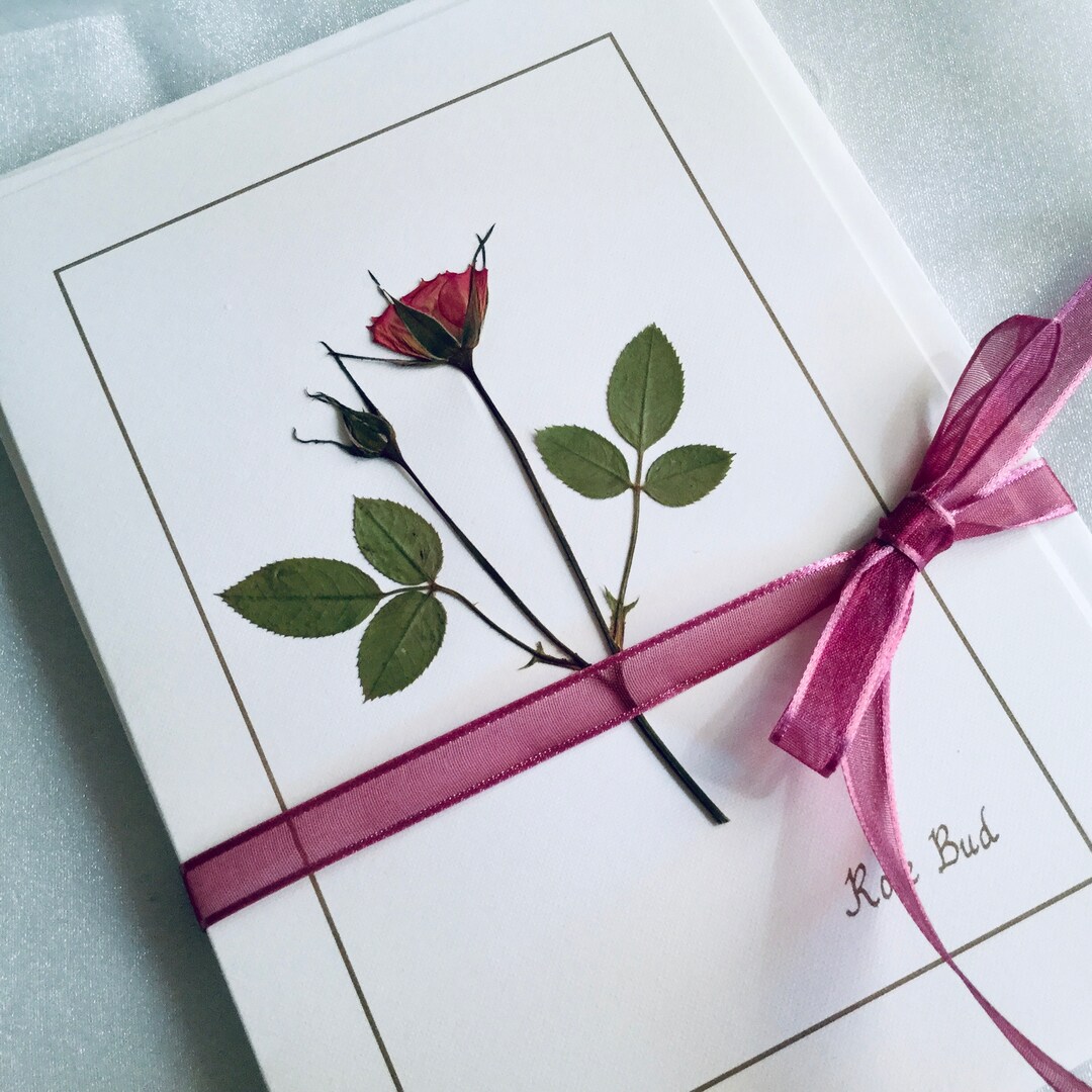 Pressed Flower Rose Card Set, Mothers Day Gift for Her, Floral Cards ...