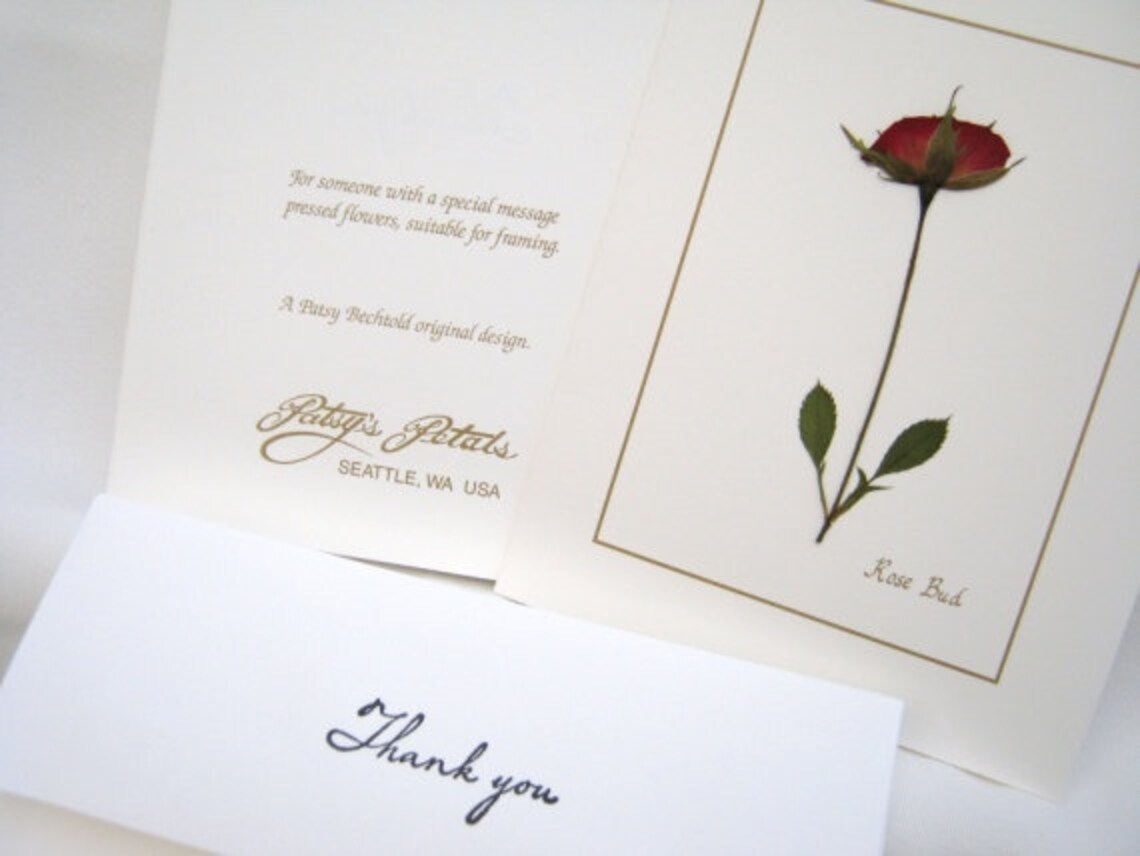 Thank You Cards Pressed Flower Note Card Set Rose Flower - Etsy