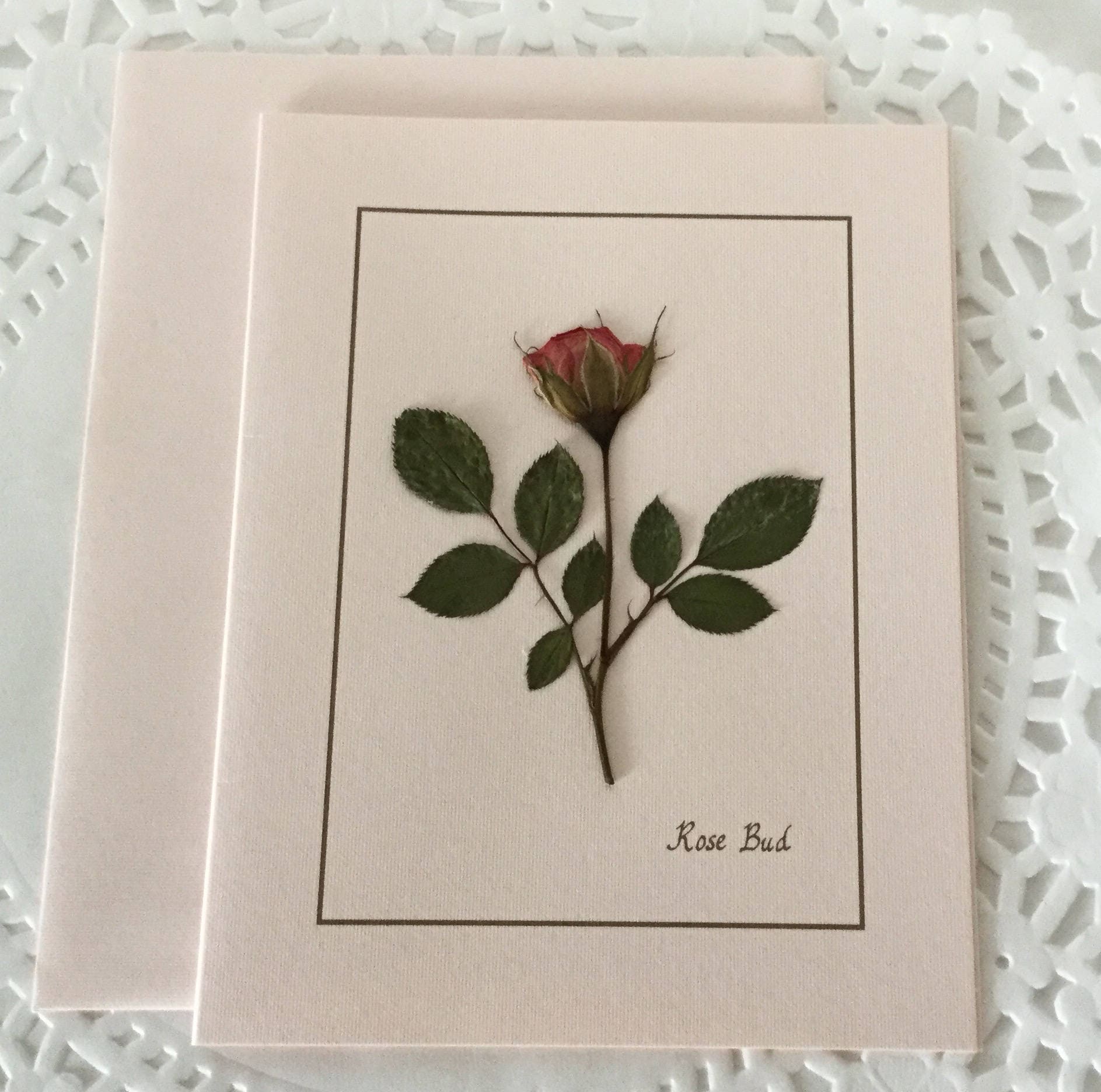 Dried Pressed Flower Cards Rose Cards Set Romantic Gift for | Etsy