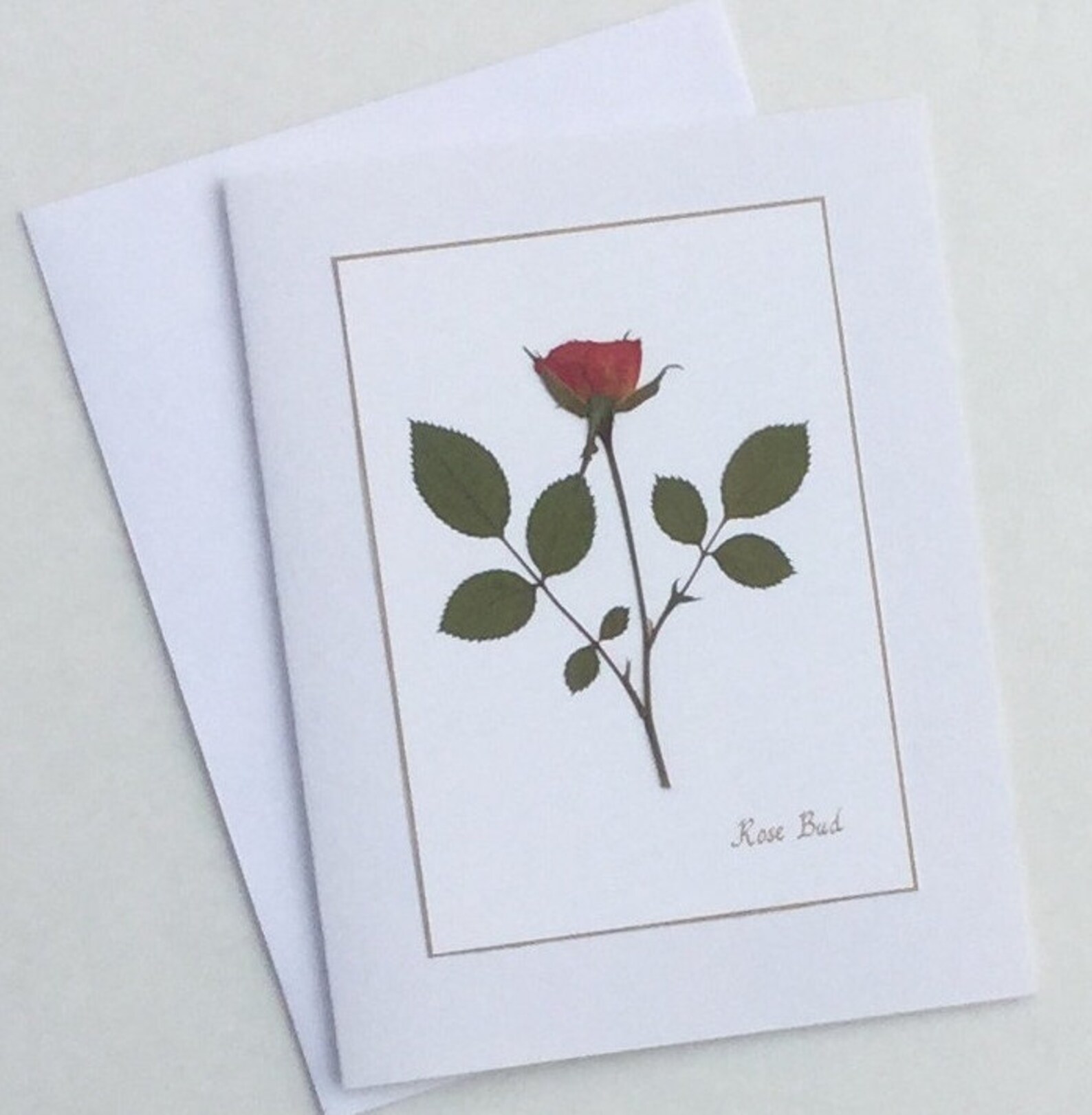 Pressed Flower - Rose Card, Handmade OOAK Red Rose Card, Blank All ...