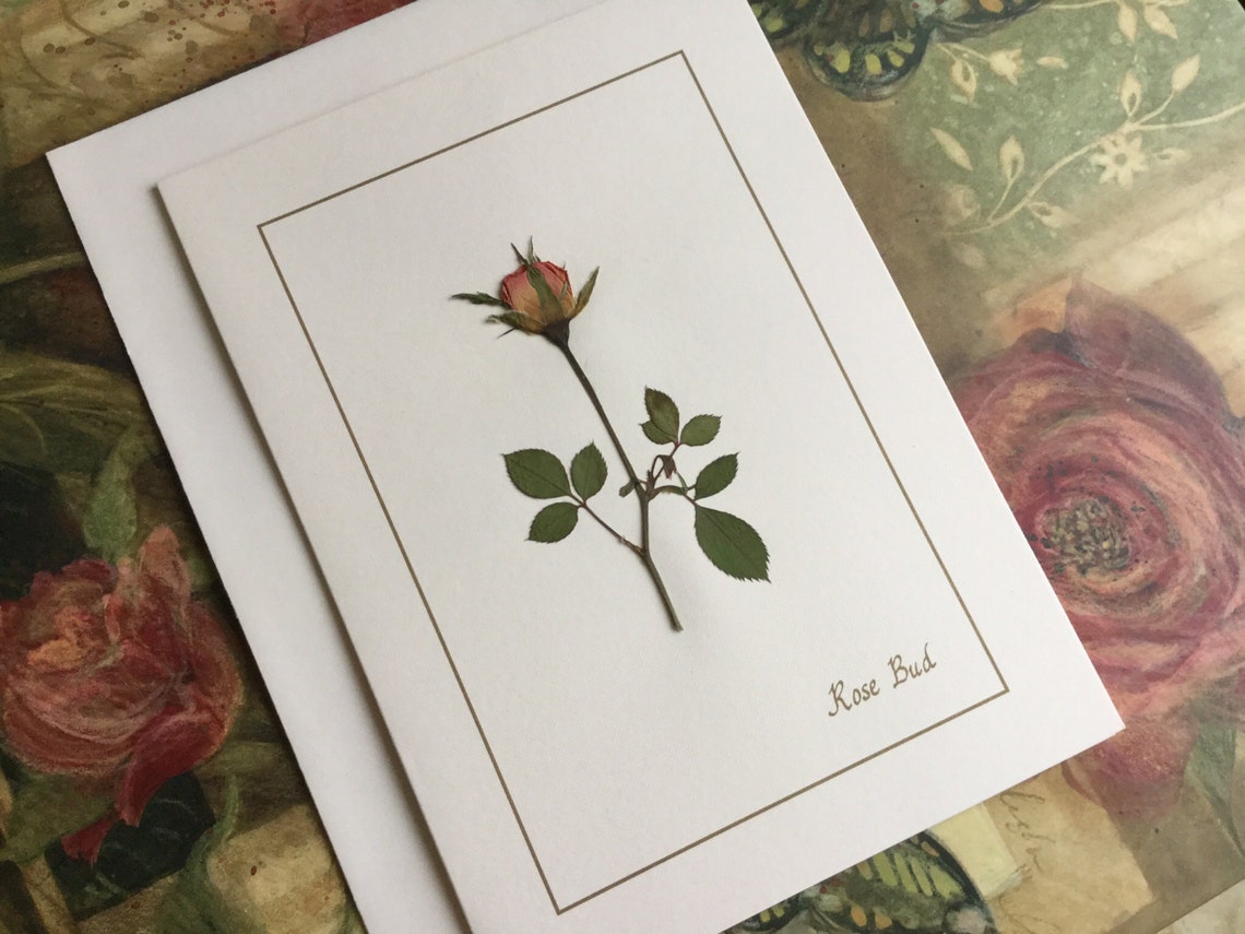 Pressed Flower Greeting Card Rose Card Apricot Rose Pink | Etsy