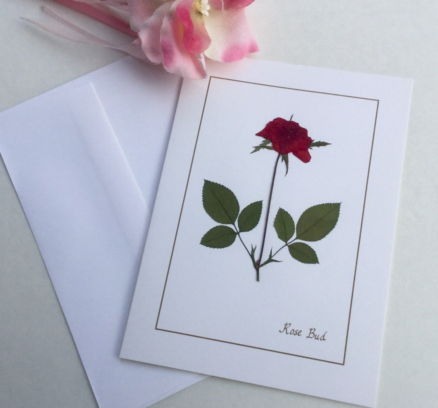 Pressed Flower Rose Greeting Card Red Bloom on White Card - Etsy