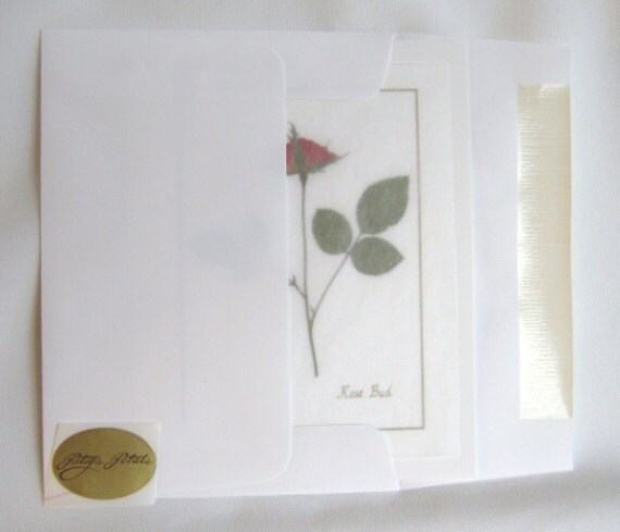 Pressed Rose Flower Card Set, Handmade Keepsake Gift - Etsy