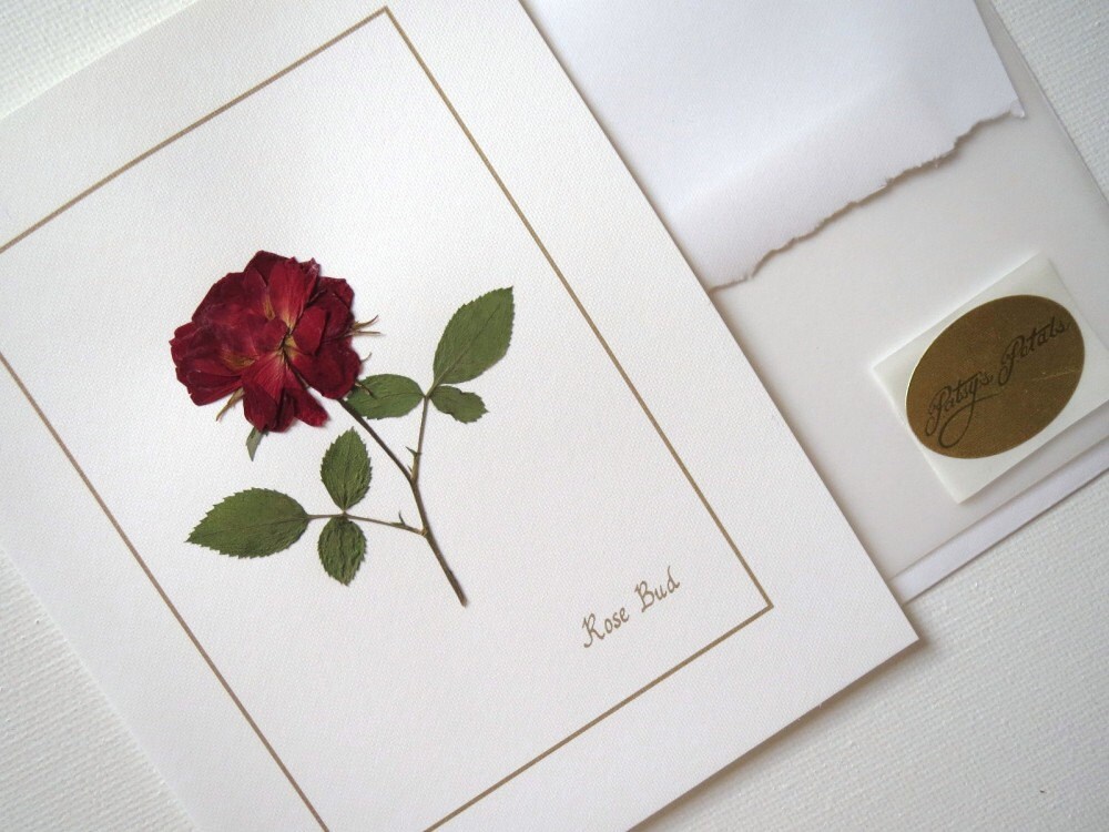 Rose Card, Pressed Flowers Red Rose Card for June Birthday, Anniversary ...