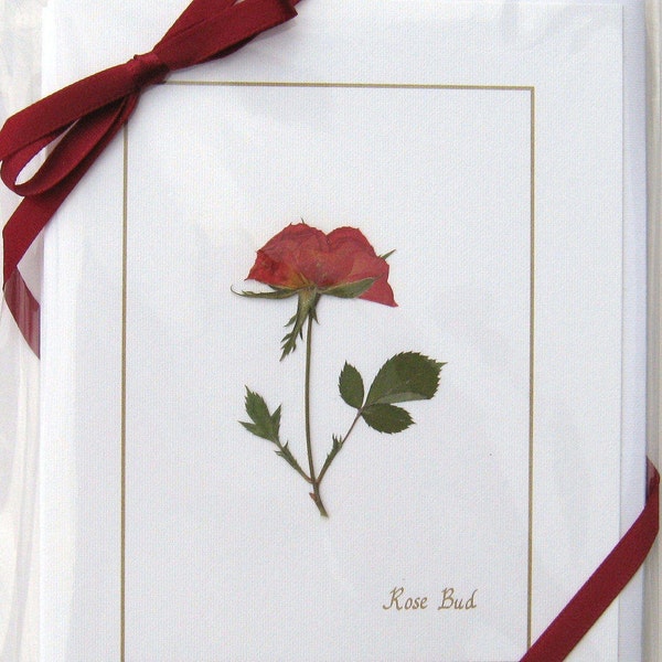 Rose Greeting Card - Etsy