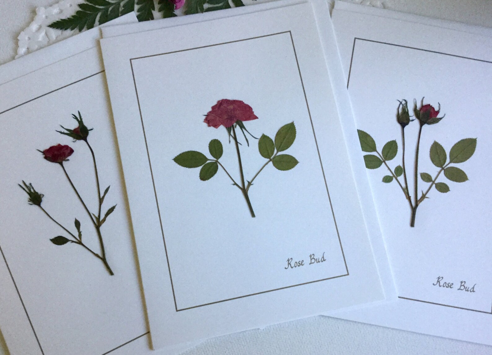 Pressed Flower Rose Card Set Handcrafted Gift of 3 Unique - Etsy